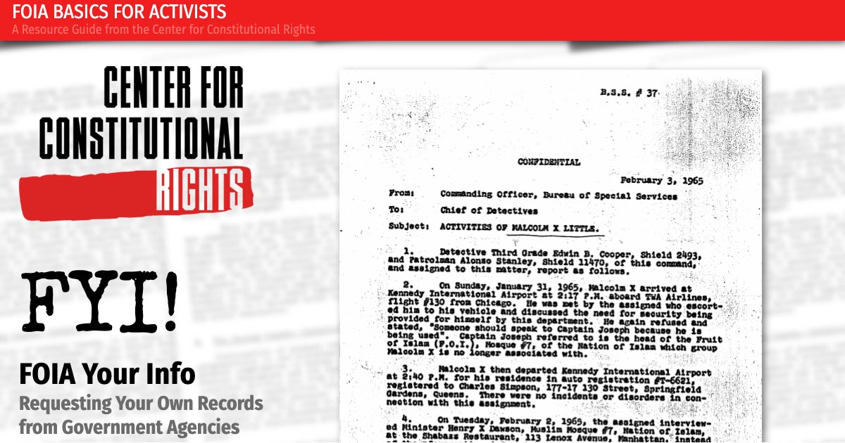 FYI! Individual FOIAs | FOIA Basics for Activists